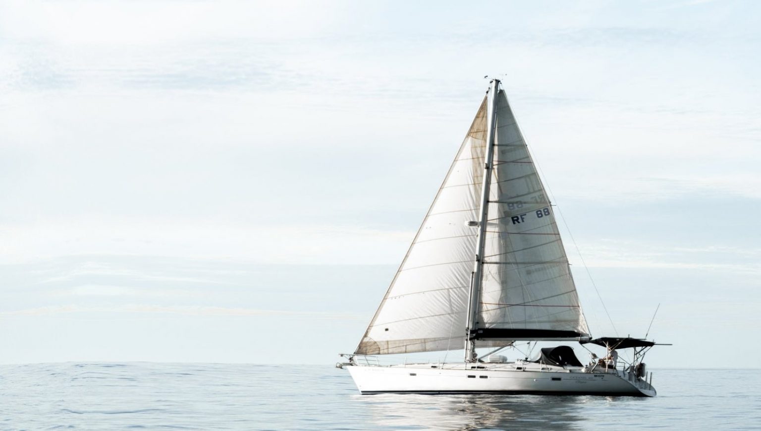 Gulf Harbour Marina | NZ Marina of the Year 2020-21